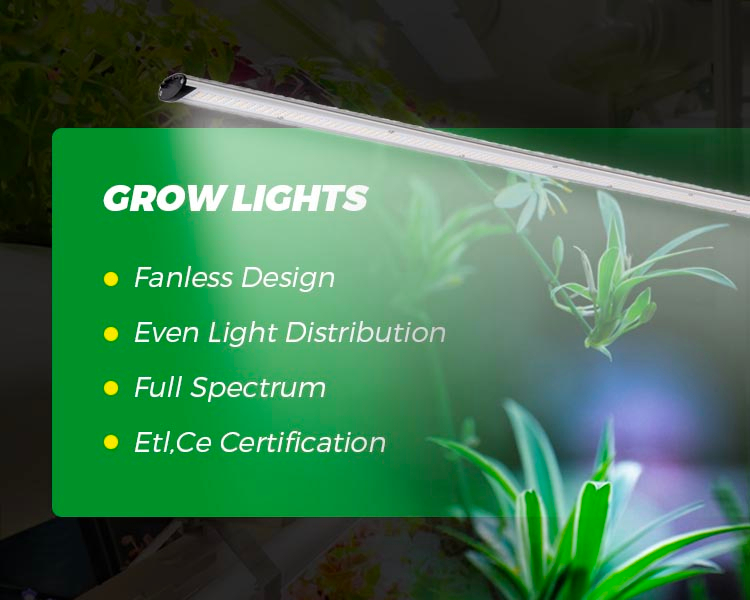 low voltage landscape lighting manufacturer - RADARLIGHTING